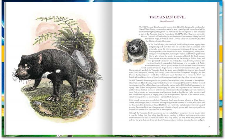 Animals of Tasmania - Tim Squires