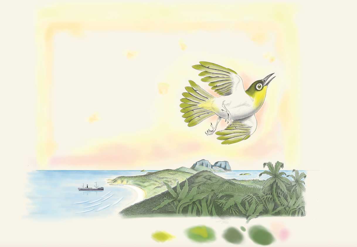 Portfolio - Tim Squires